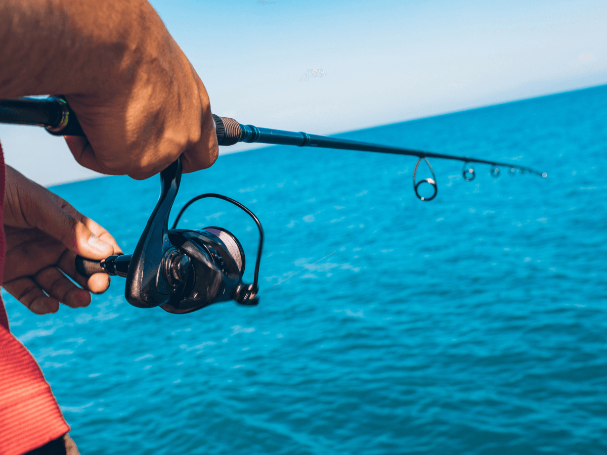Top 5 Des Meilleurs Moulinets Pour La Pêche En Mer (2025) - Blog Leurre ...